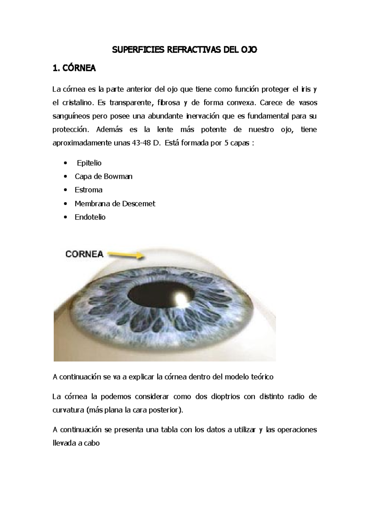 Superficies Refractivas DEL OJO - SUPERFICIES REFRACTIVAS DEL OJO 1 ...