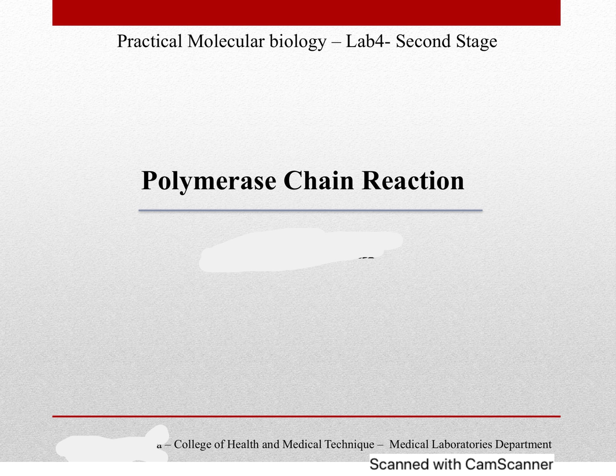 Lab 4- PCR - polymerase Chain reaction - Molecular Biology - Studocu