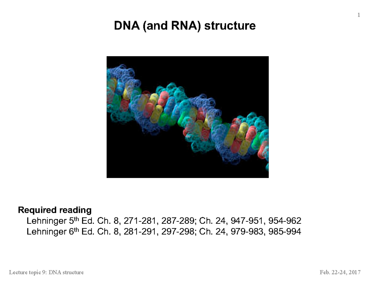 Lecture 9 DNA structure (PDF) - DNA (and RNA) structure Required ...