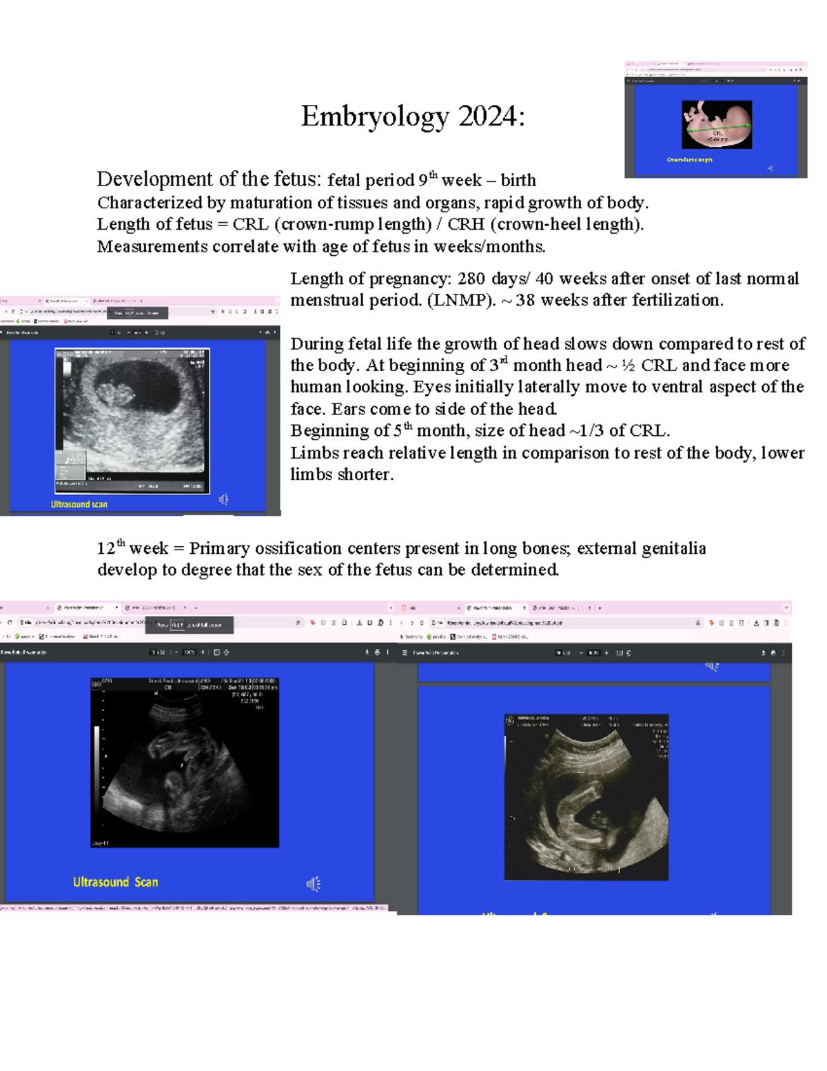 Embryology 2024 - Embryology 2024: Development of the fetus: fetal ...