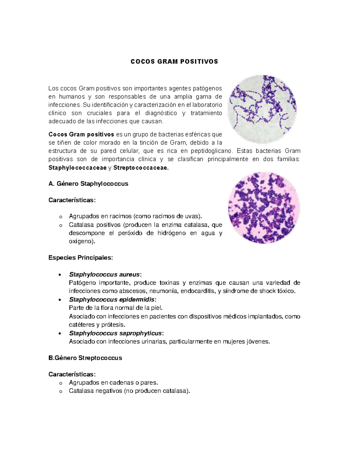 - Cocos GRAM Positivos - COCOS GRAM POSITIVOS Los cocos Gram positivos ...