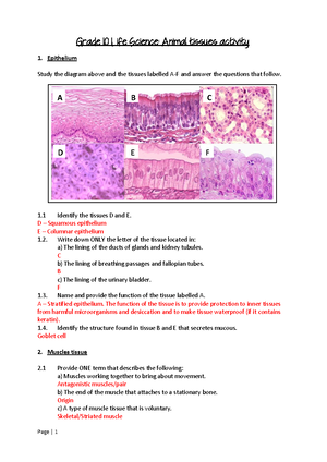 Scienceclinic Smartprep GR11 DBE ENG V3 - GRADE 11 DBE ESSENTIALS The ...