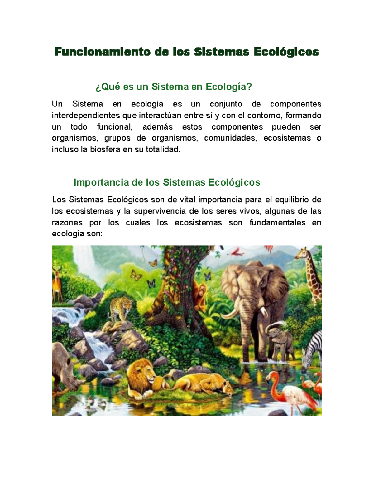 Funcionamiento del sistema ecologico - Funcionamiento de los Sistemas Ecológicos ¿Qué es un ...