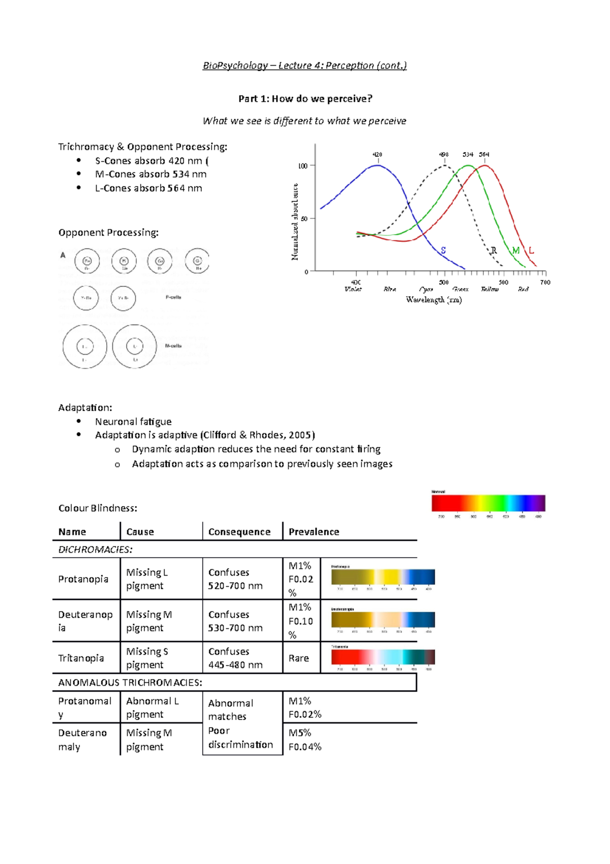 Perception part B: How do we perceive? - BioPsychology – Lecture 4: Perception (cont.) Part 1 ...