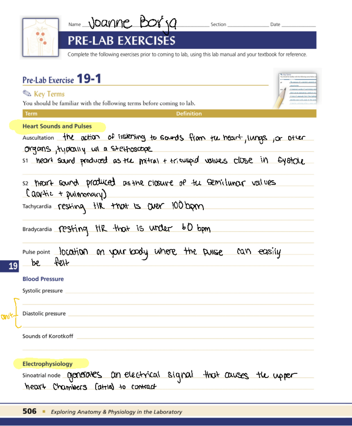 Lab 3 Heart Auscultation and ECG Interpretation Manual - •• •• Complete ...