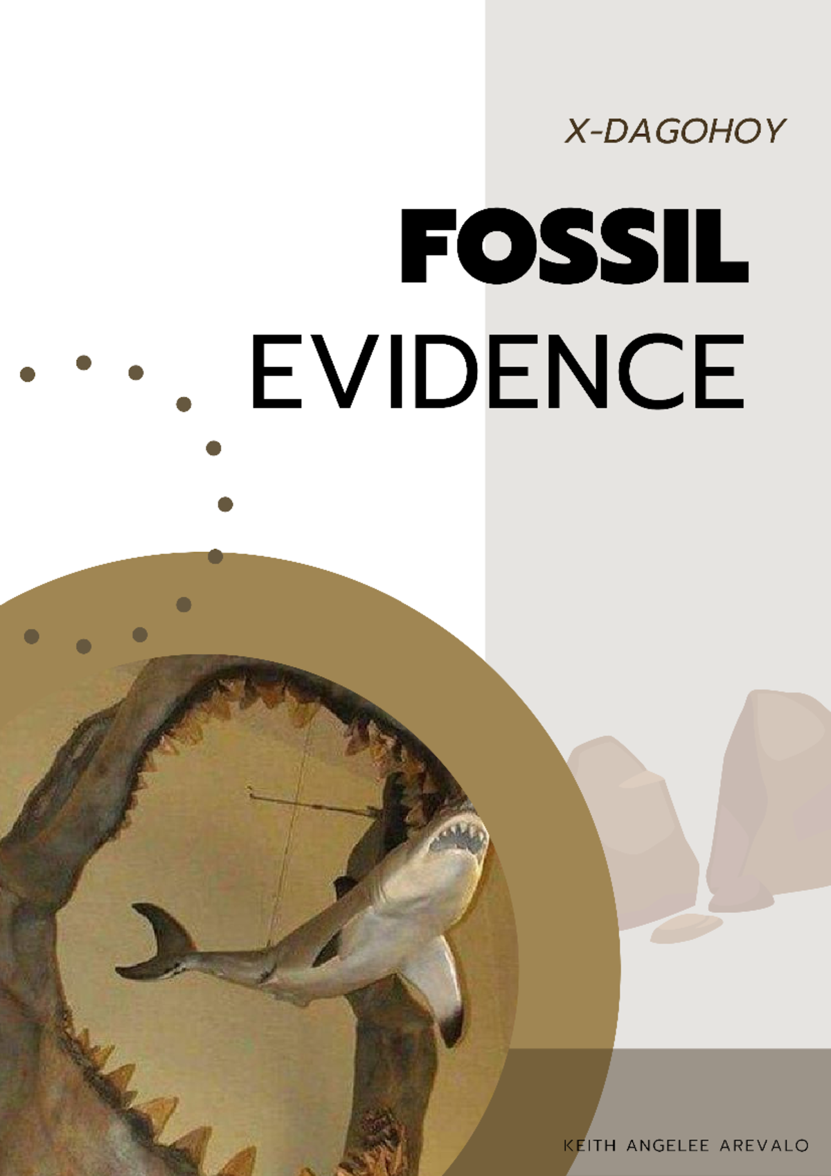 Fossil Evidence - STEM(Science Technology, Engineering and Mathematics ...