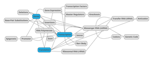 Chp 2 Concept Map Atomic Particles and their relations - Protons ...