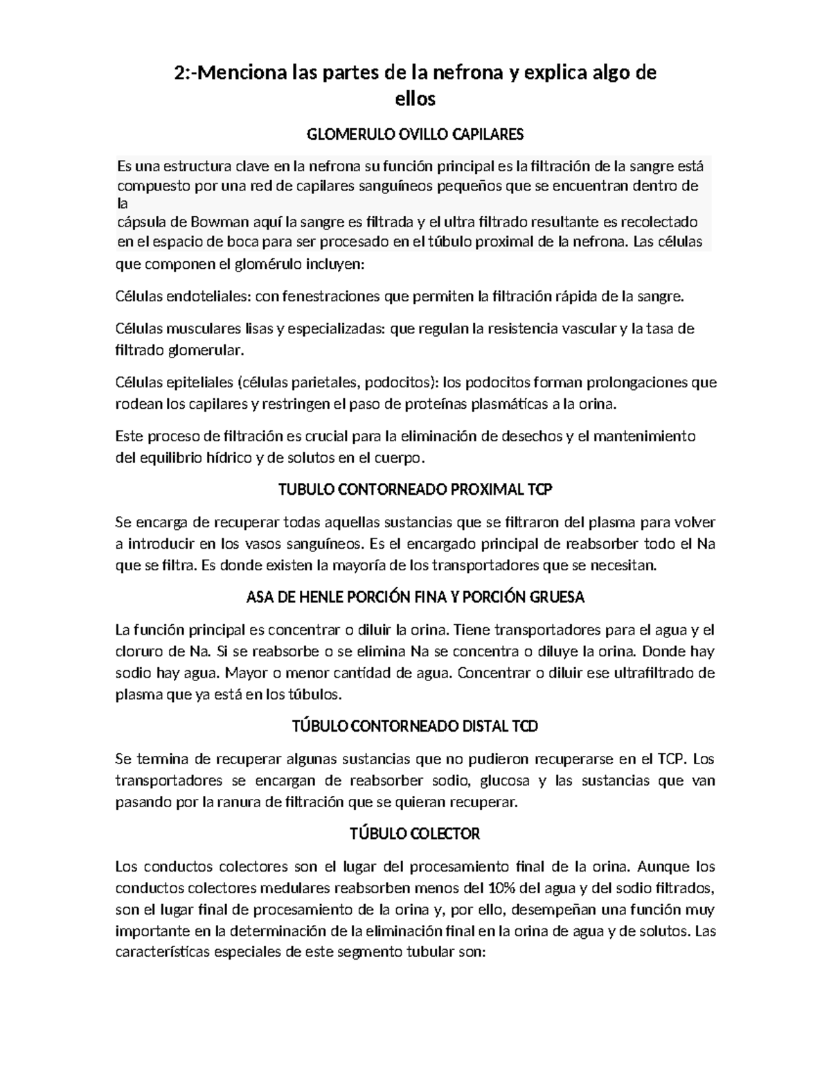 Partes de la nefrona - Las células que componen el glomérulo incluyen ...