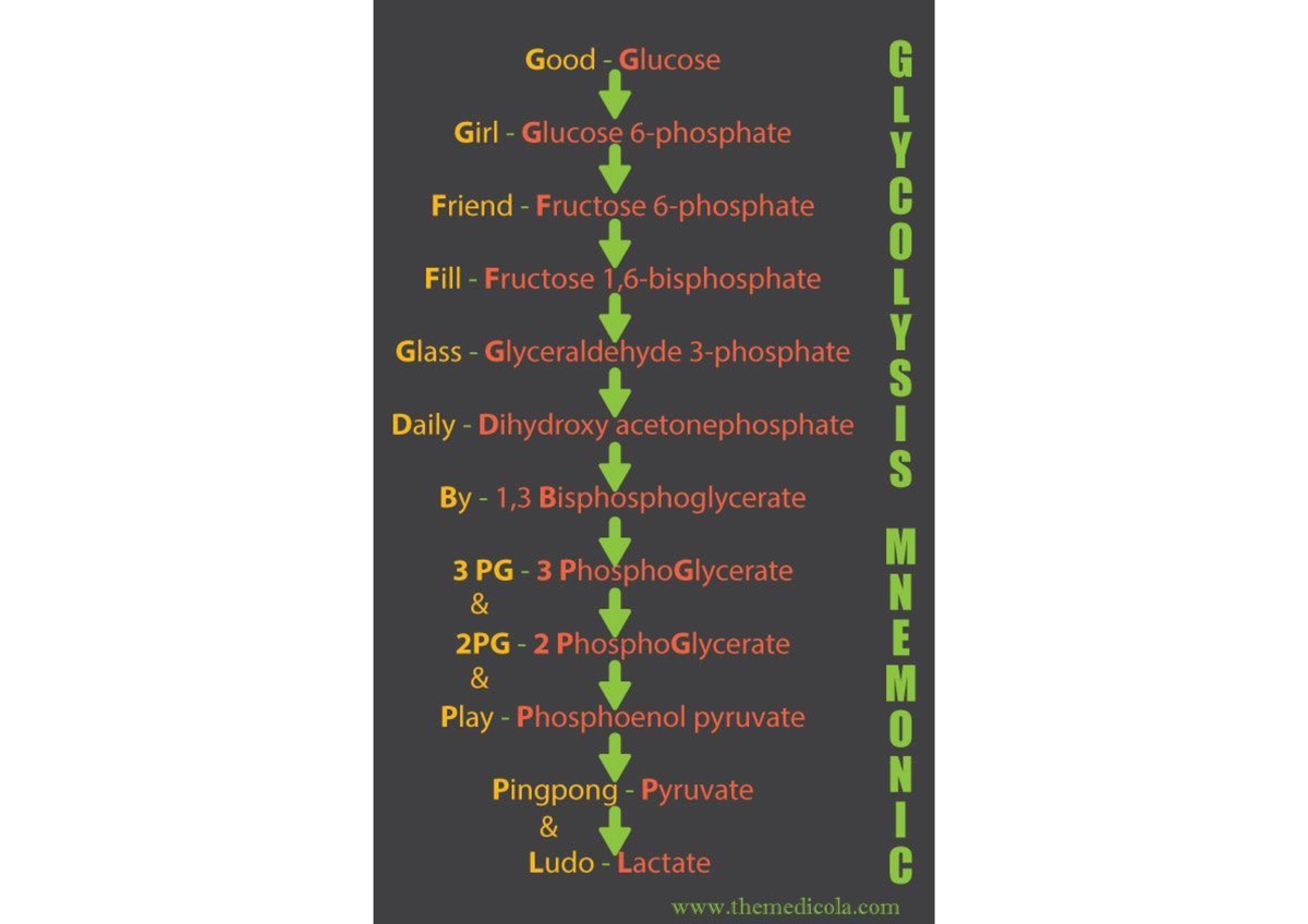 Learning about microbiology - BSC 242 - Studocu