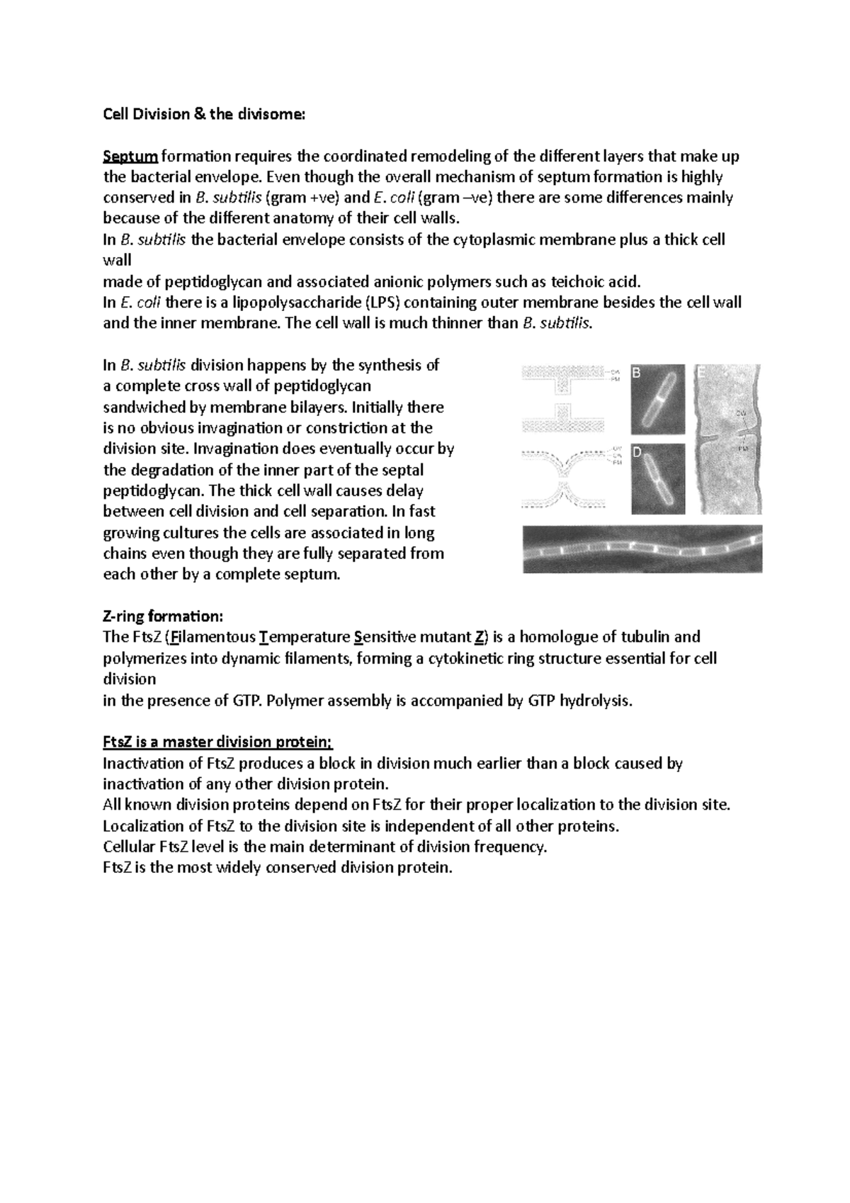 Cell Division - Even though the overall mechanism of septum formation ...