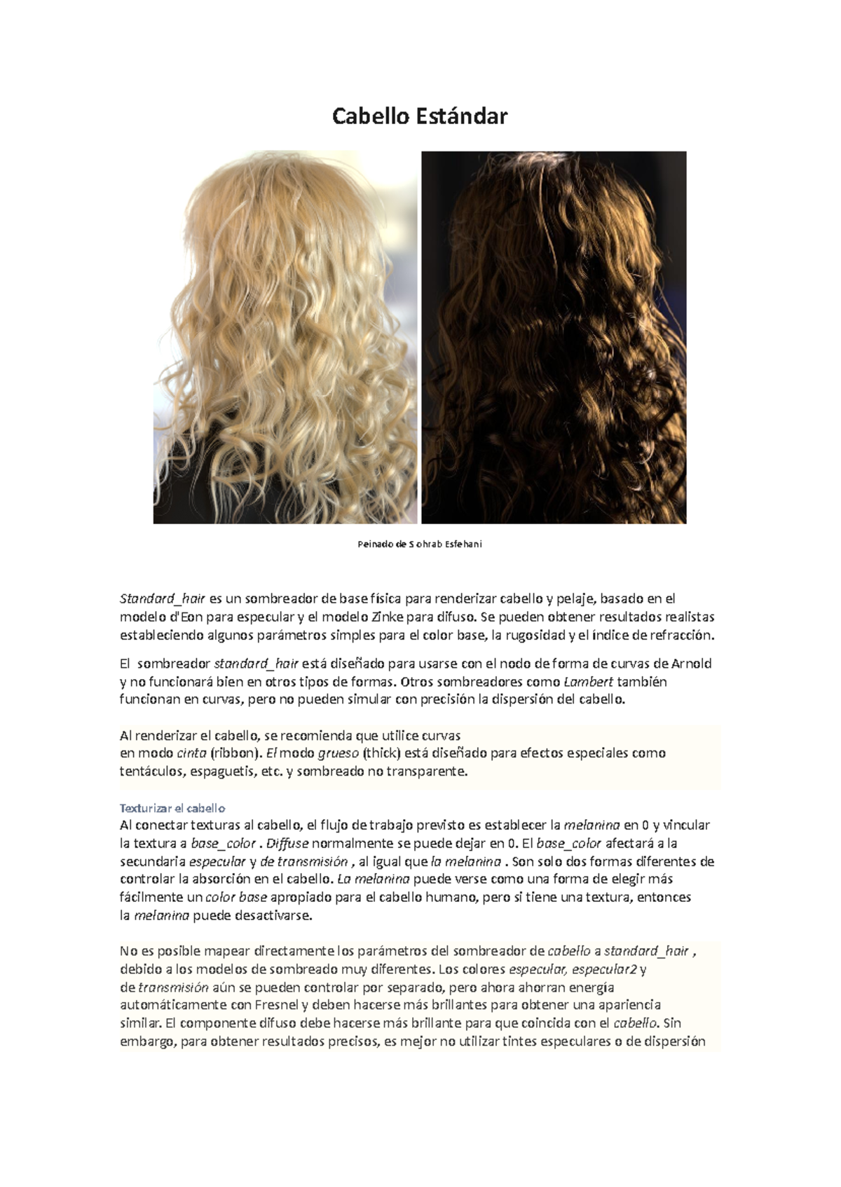 Apuntes de Standard Hair en ESP - Cabello Estándar Peinado de S ohrab ...