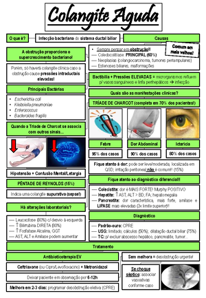 Anatomia do Funículo Espermático - Anatomia do Sistema Reprodutor ...