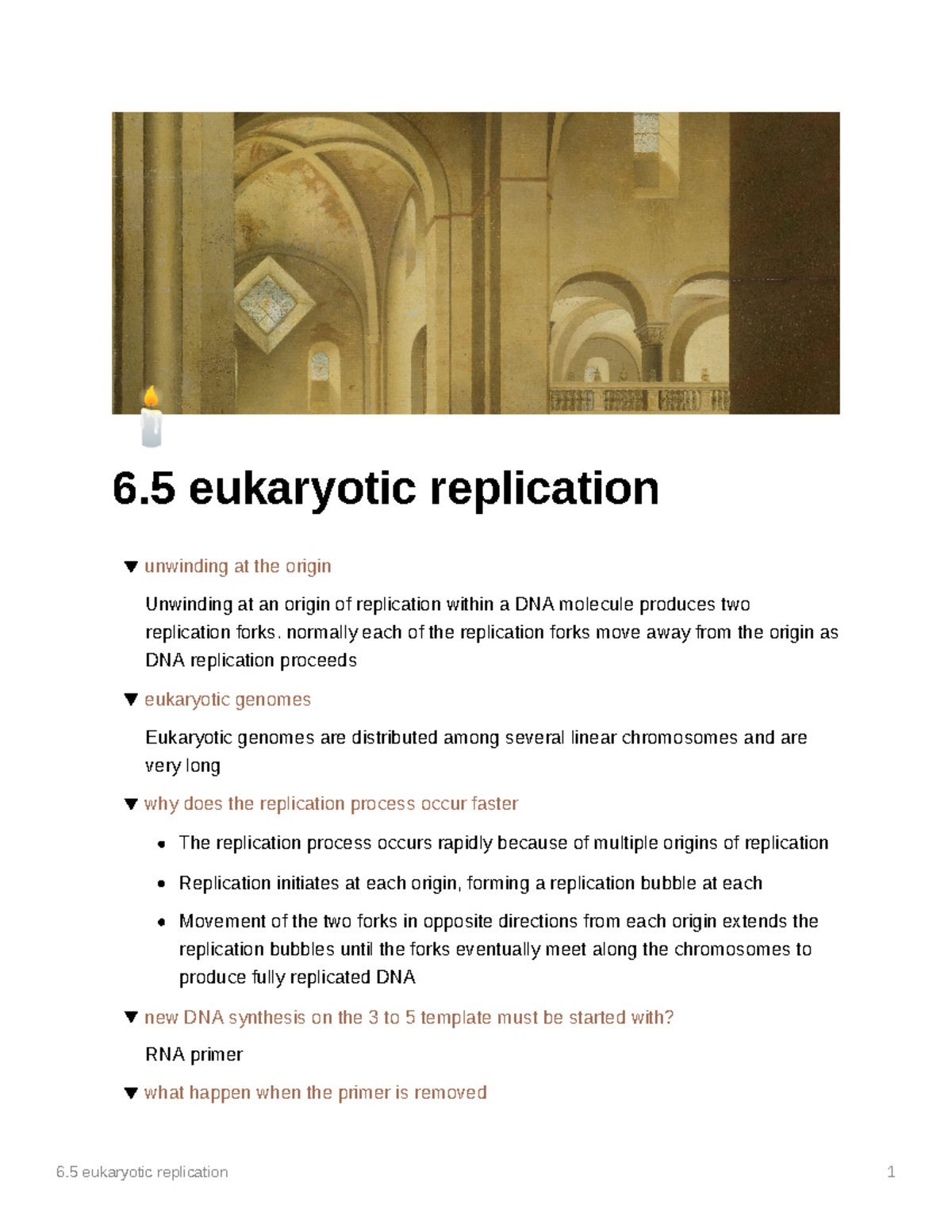 chapter 6.5 eukaryotic replication - J 6 eukaryotic replication unwinding at the origin ...
