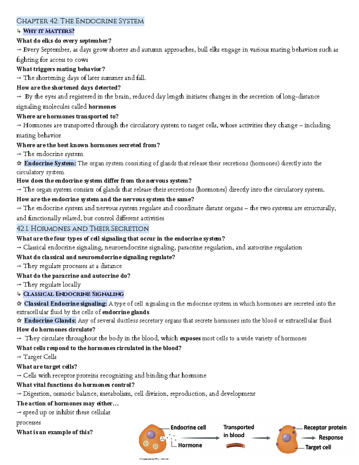 Chapter 42 The Endocrine System - Chapter 42: The Endocrine System ↳ ...