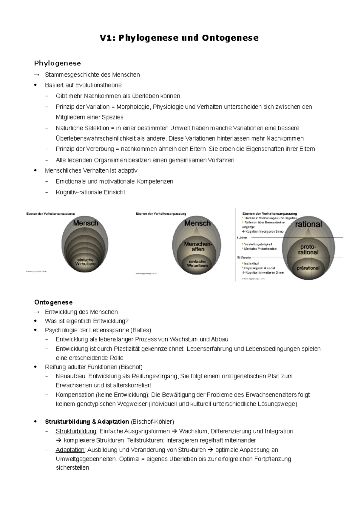 Vorlesung 1: Phylogenese und Ontogenese der - V1: Phylogenese und ...