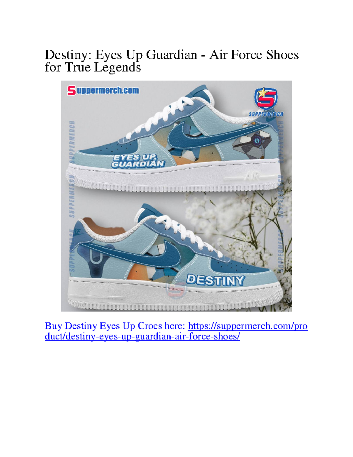 Destiny: Eyes Up Guardian - Air Force Shoes for True Legends - BA05101 ...