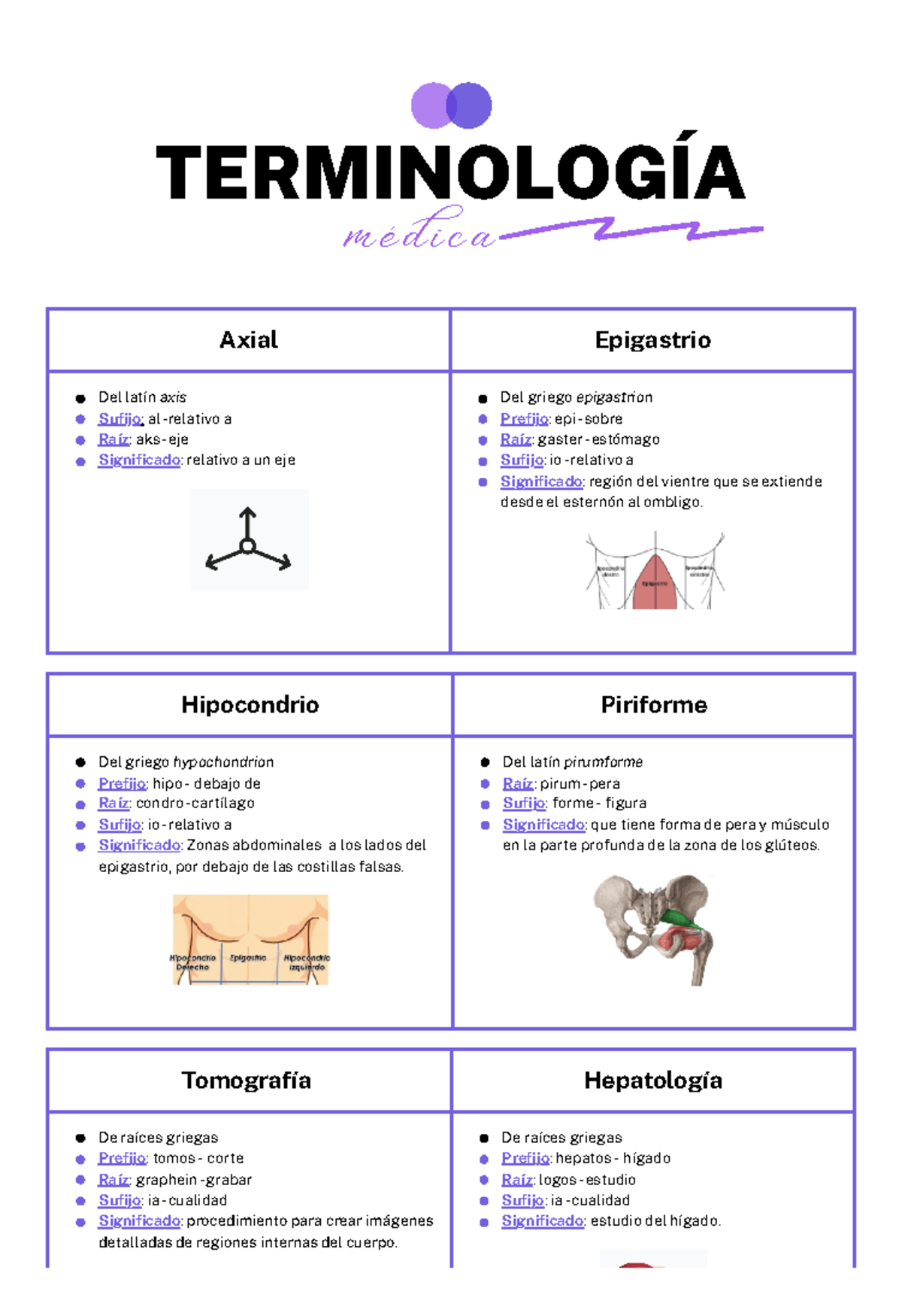 Terminología médica - TERMINOLOGÍA m é d i c a Axial Epigastrio Del ...