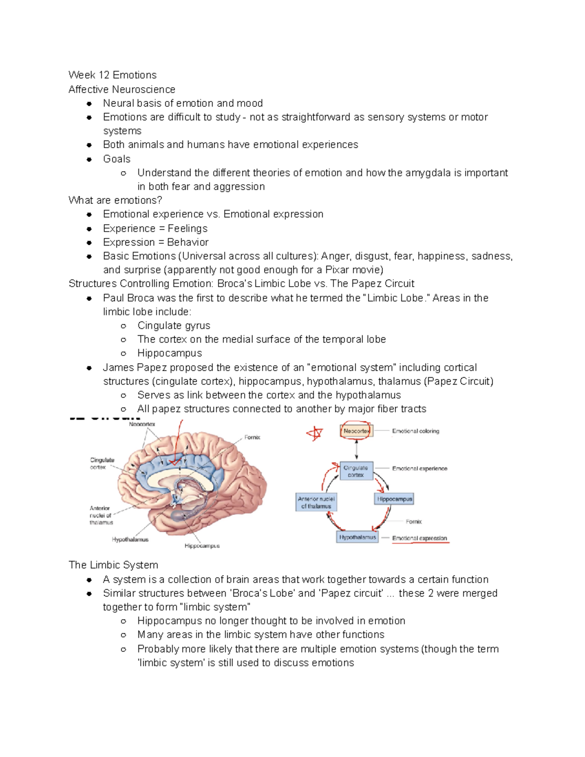 NEU 302 Part 3 - Notes on the third part of the class, and exam ...