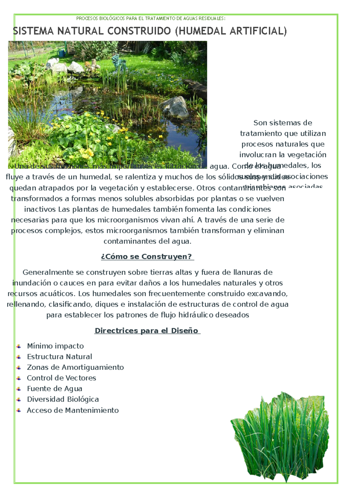15 Humedal Artificial Procesos Para El Tratamiento De Aguas