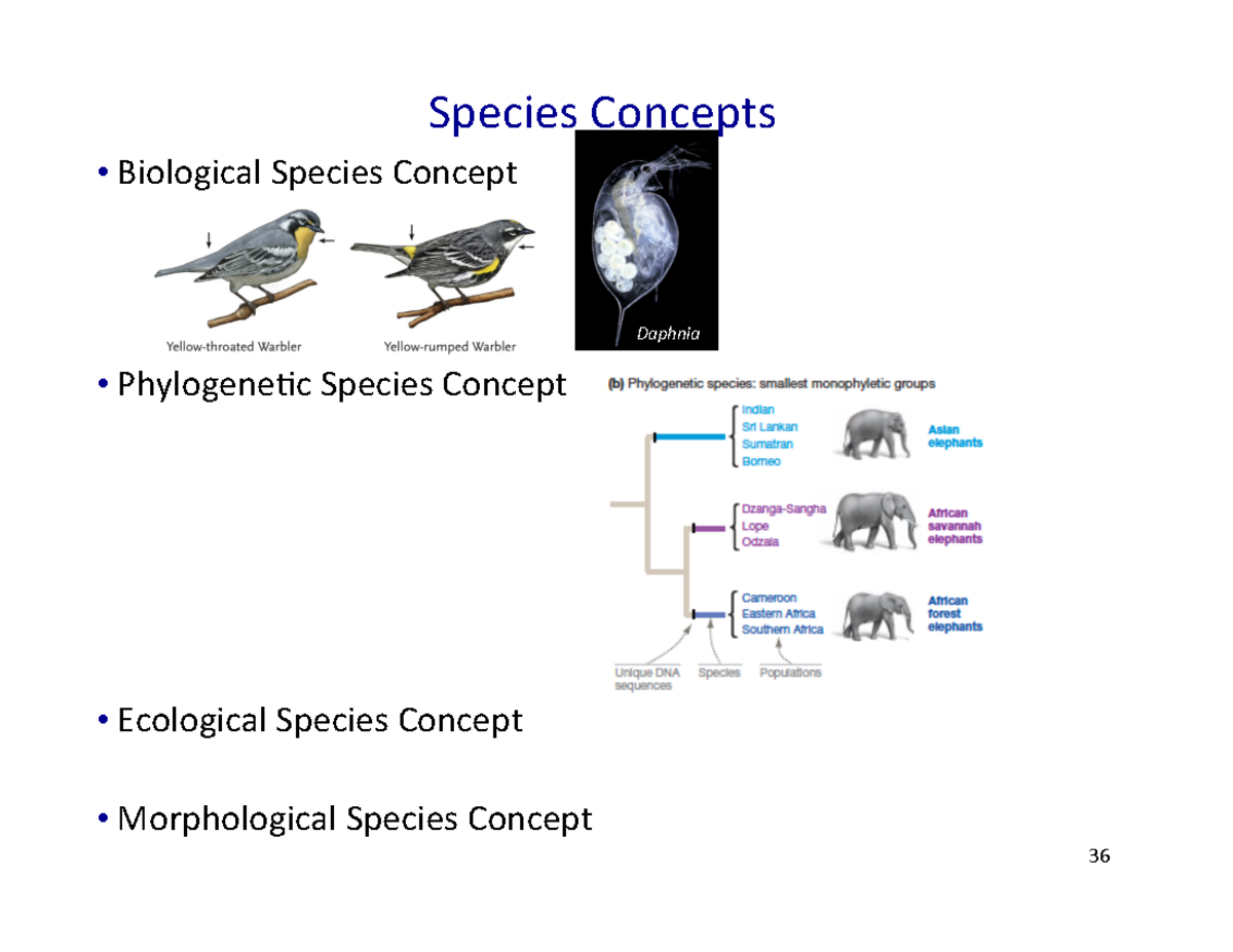20 Biol 1001 Speciation Macroevolution (Mar. 6) Post - Lect - Species ...