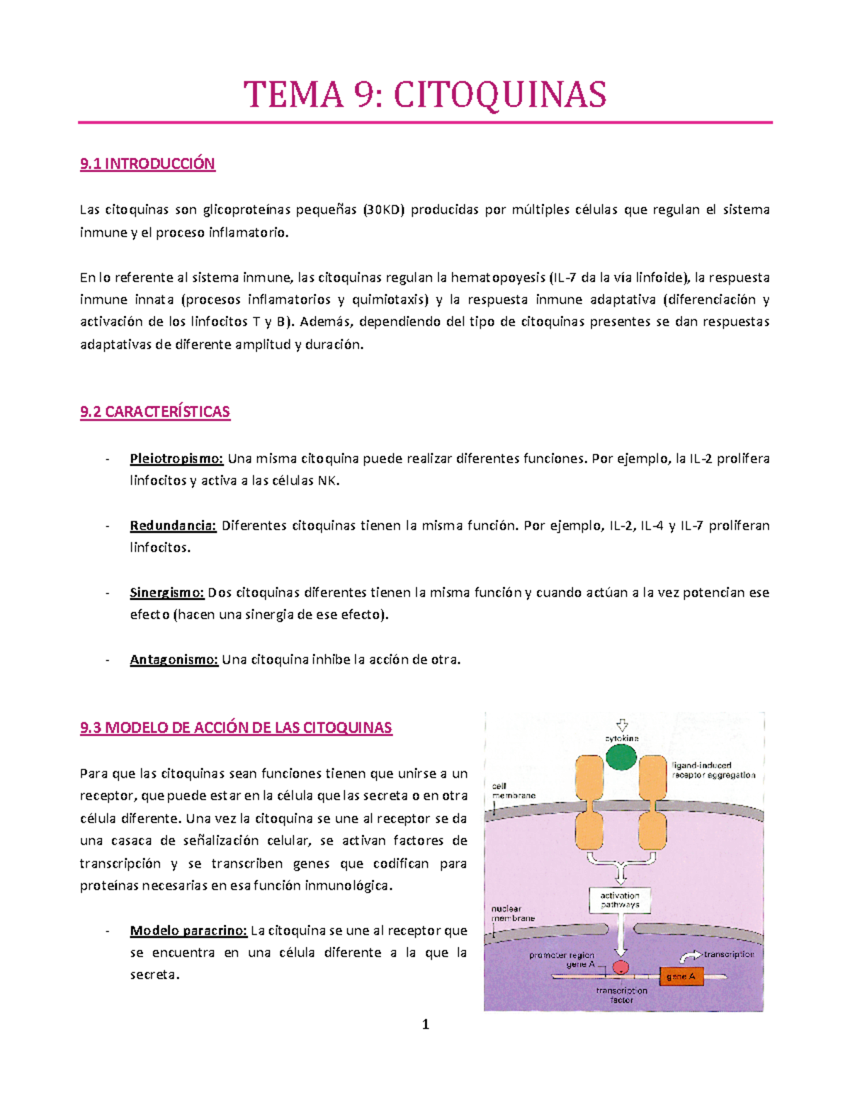 Tema-9-de-inmunología - TEMA 9: CITOQUINAS 9 INTRODUCCIÓN Las ...