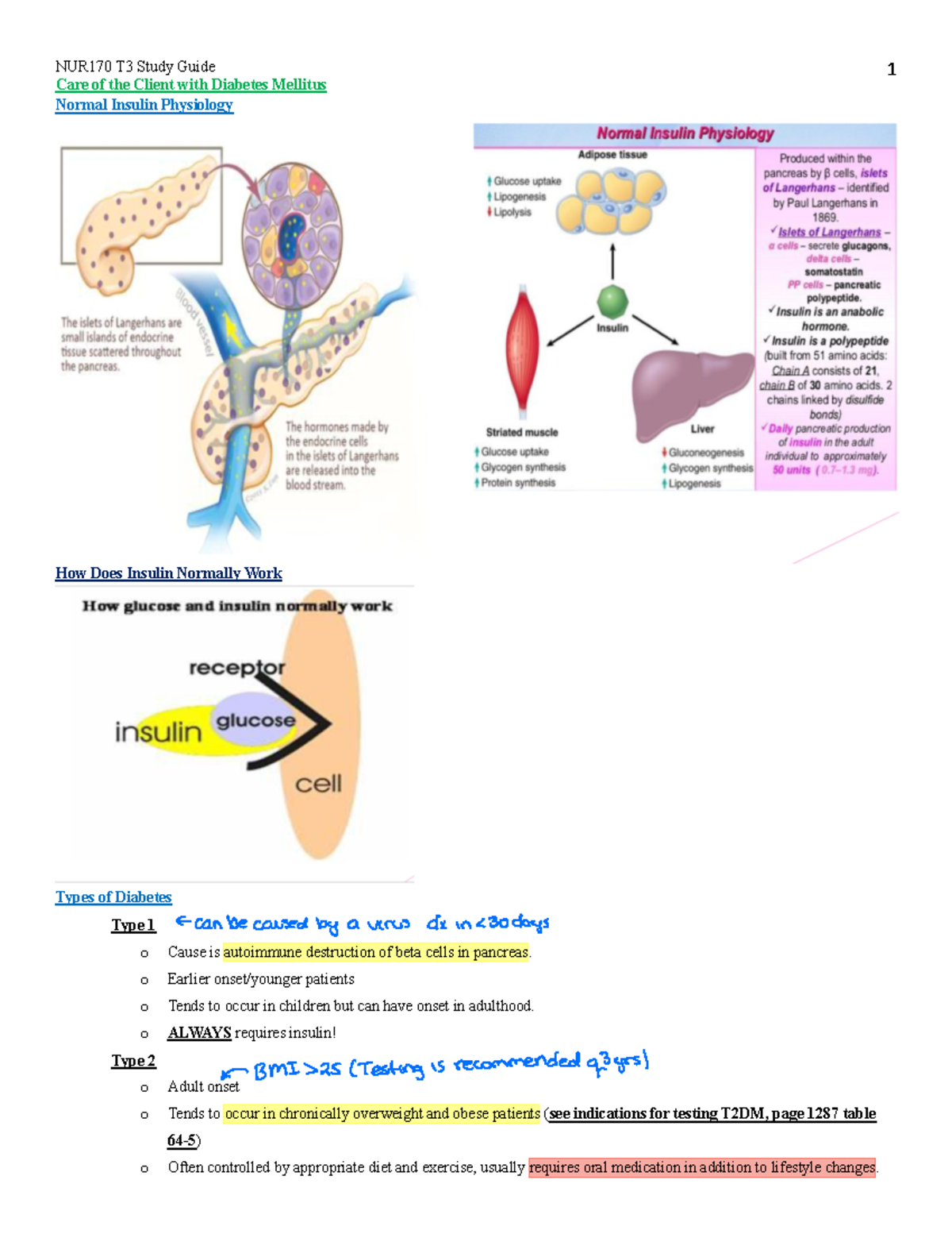 med surg exam 3 notes from lecture and enrichment specialist - Care of ...