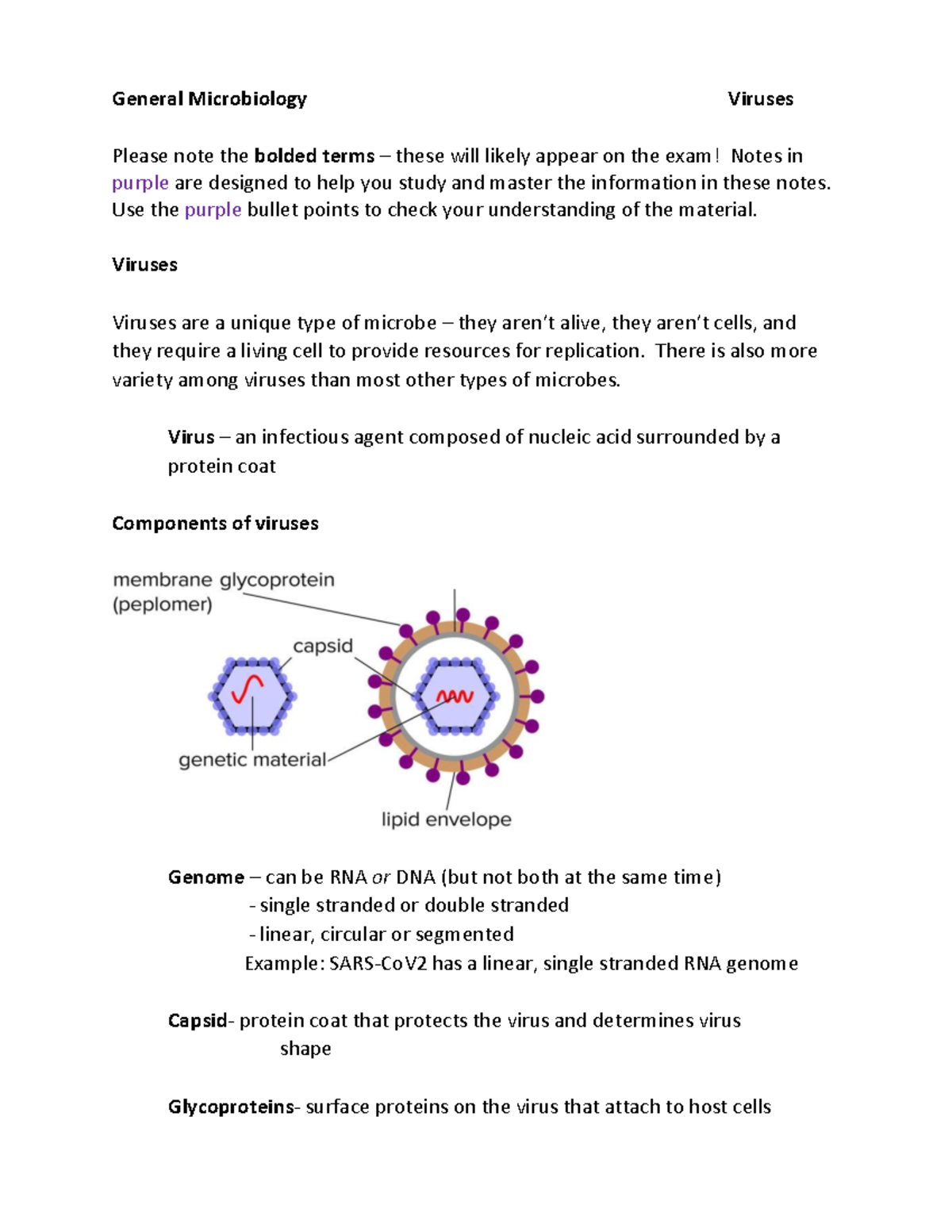 General Microbiology - Viruses - General Microbiology Viruses Please ...