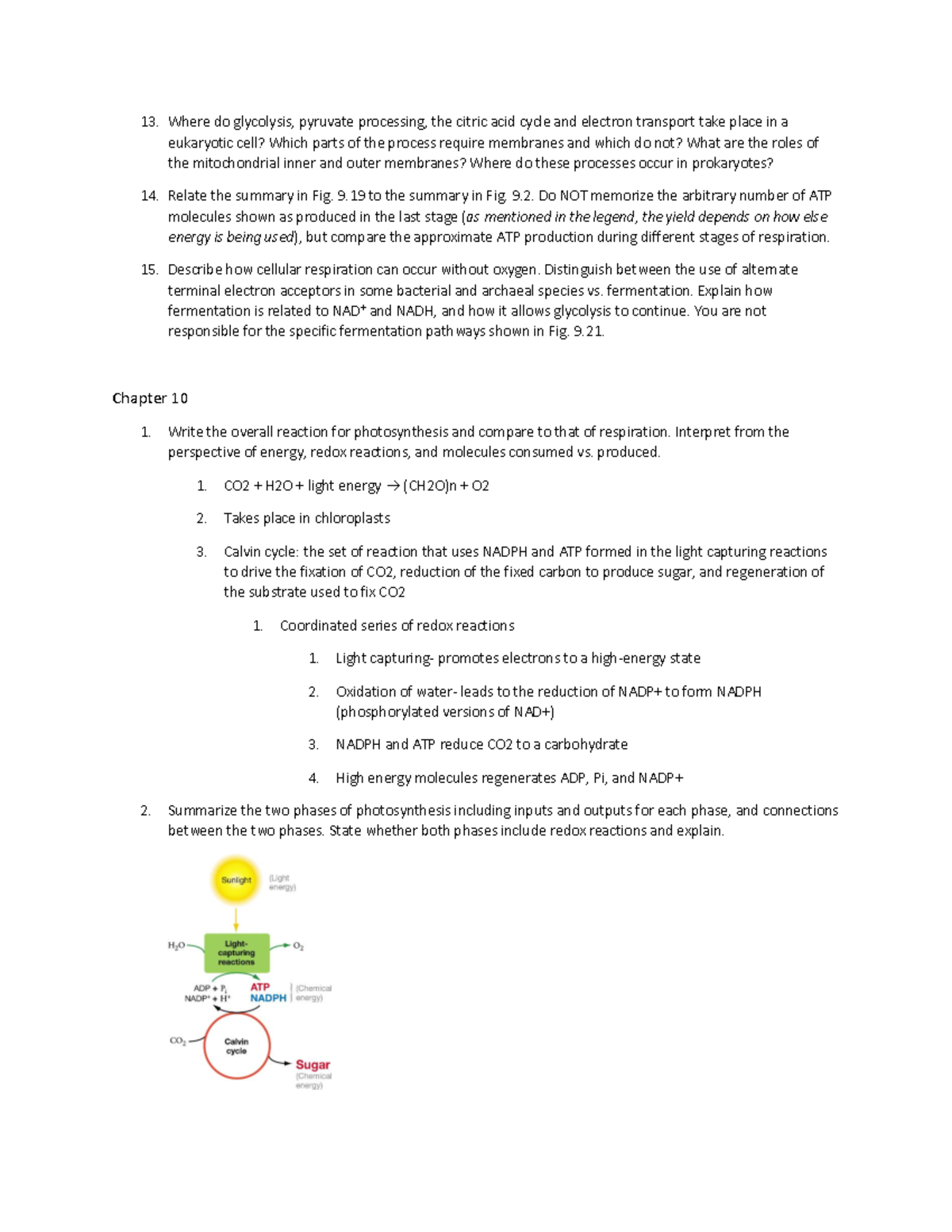 BIO 161 Part 3 - Specific answers to the learning objectives that ...