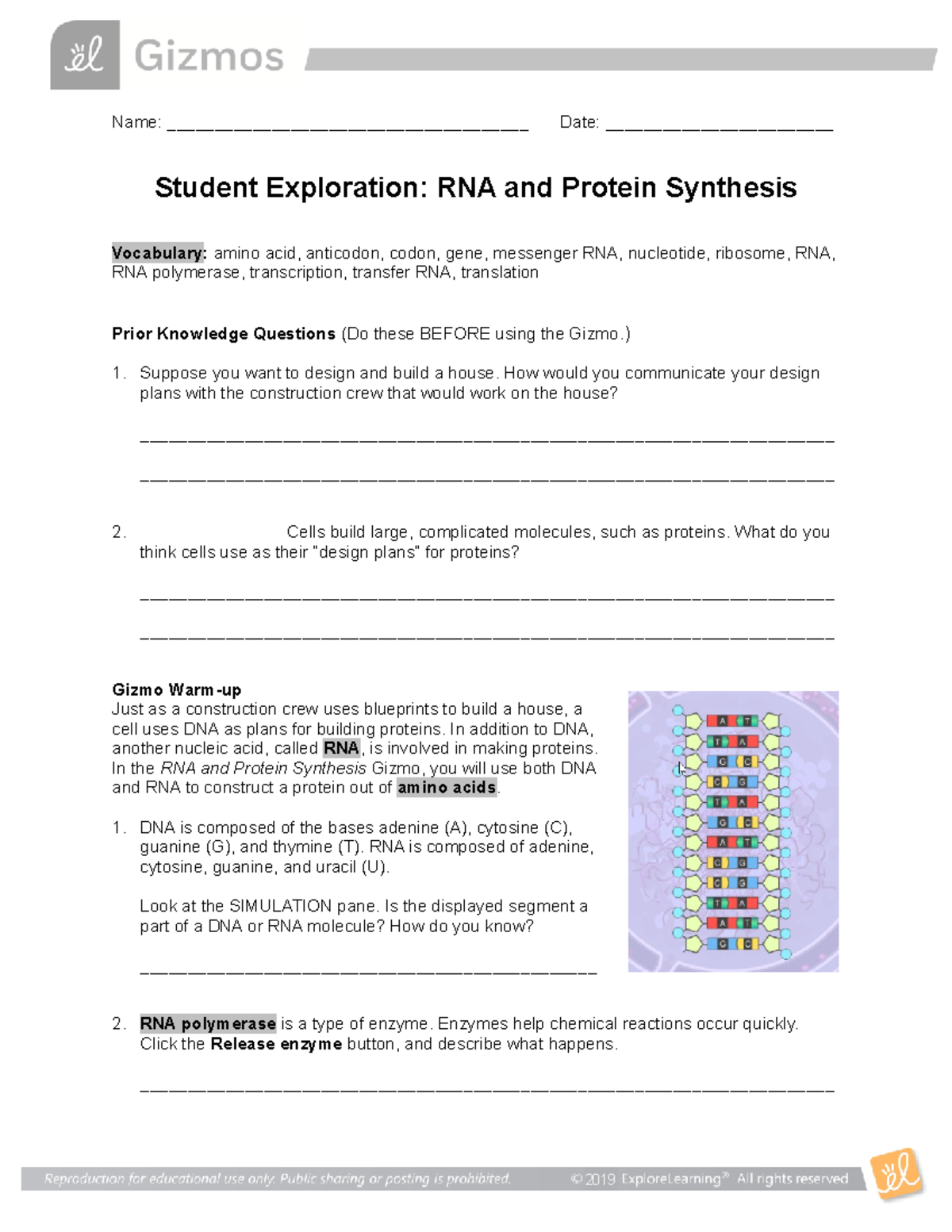 RNAProtein Synthesis SE how rna protein works - Name