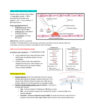 Lecture 4 Acute Kidney Injury - Lecture 4 Acute Kidney Injury (AKI) AKI ...