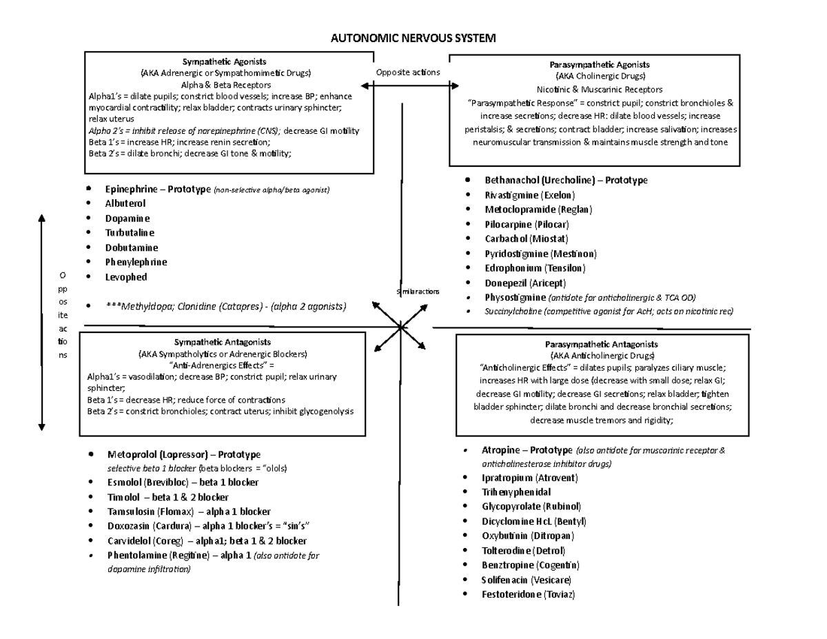 Autonomic Nervous system Actions and Drugs example - AUTONOMIC NERVOUS ...