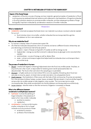 Galvanic and Electrolysis Study Notes - UNIT 3 CHEMISTRY AOS 1: What ...