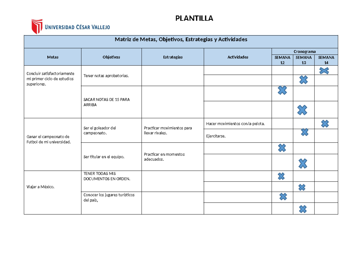 1° Producto N° 12 - Matriz de Metas, Objetivos, Estrategias y ...