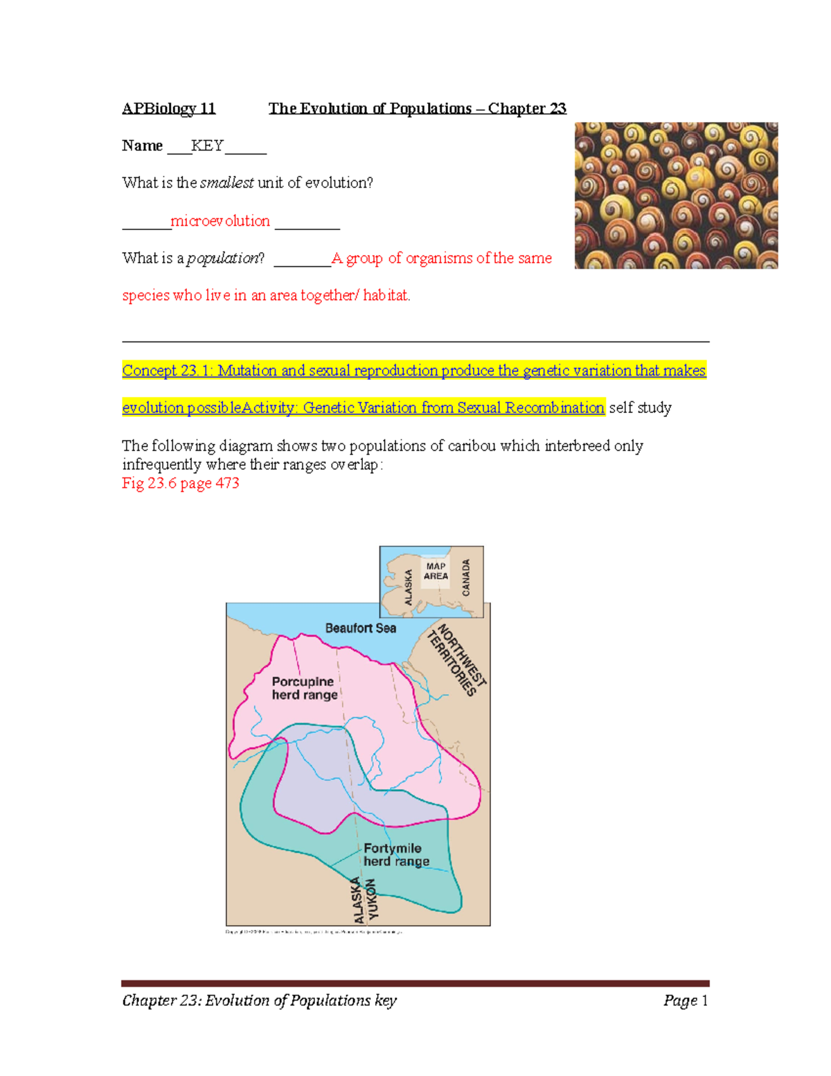 Guided notes - ch 23 - evolution of populations key - APBiology 11 The ...