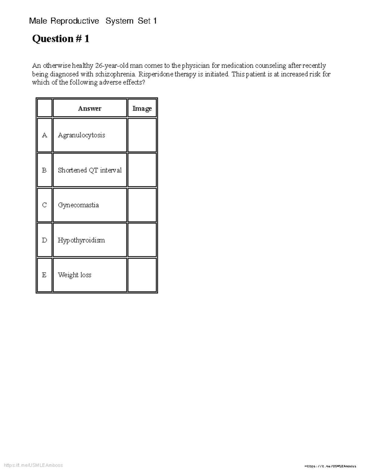 Male Reproductive System 2 Blocks