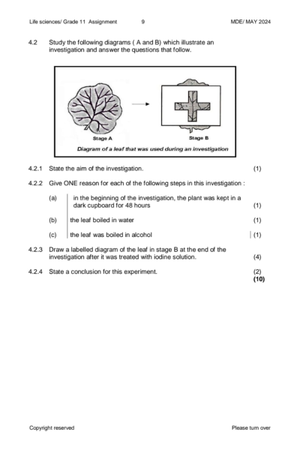Grade 11 Topic 1 - NKANGALA DISTRICT ECONOMICS NOTES GRADE 11 2022 ...