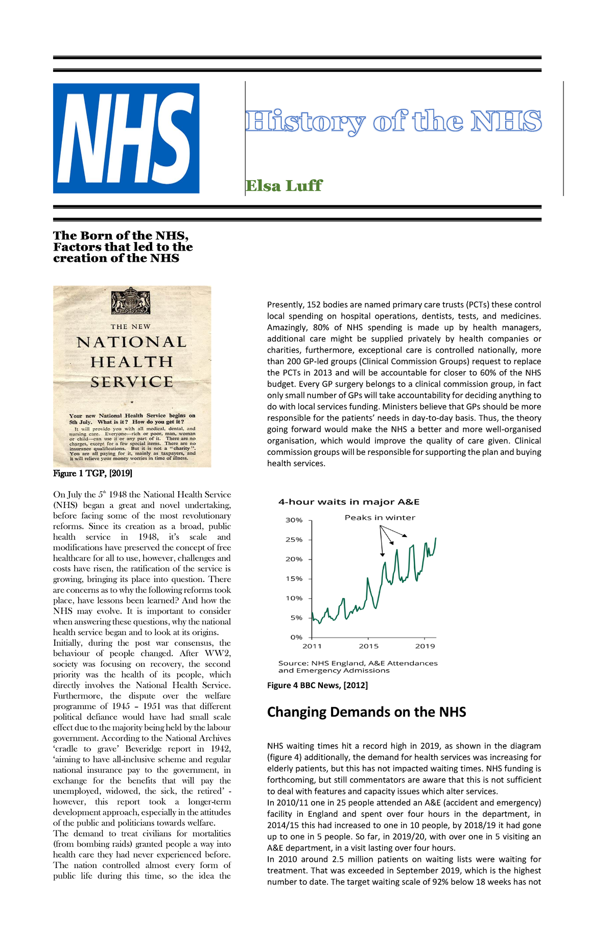 The History of the NHS - This assignment is a journal article - Elsa ...