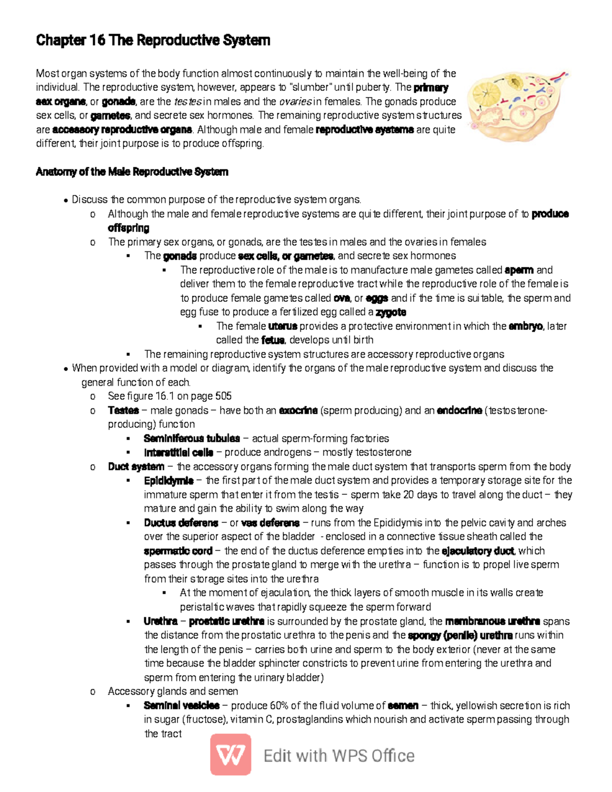 Chapter 16 The Reproductive System - Chapter 16 The Reproductive System Most organ systems of ...