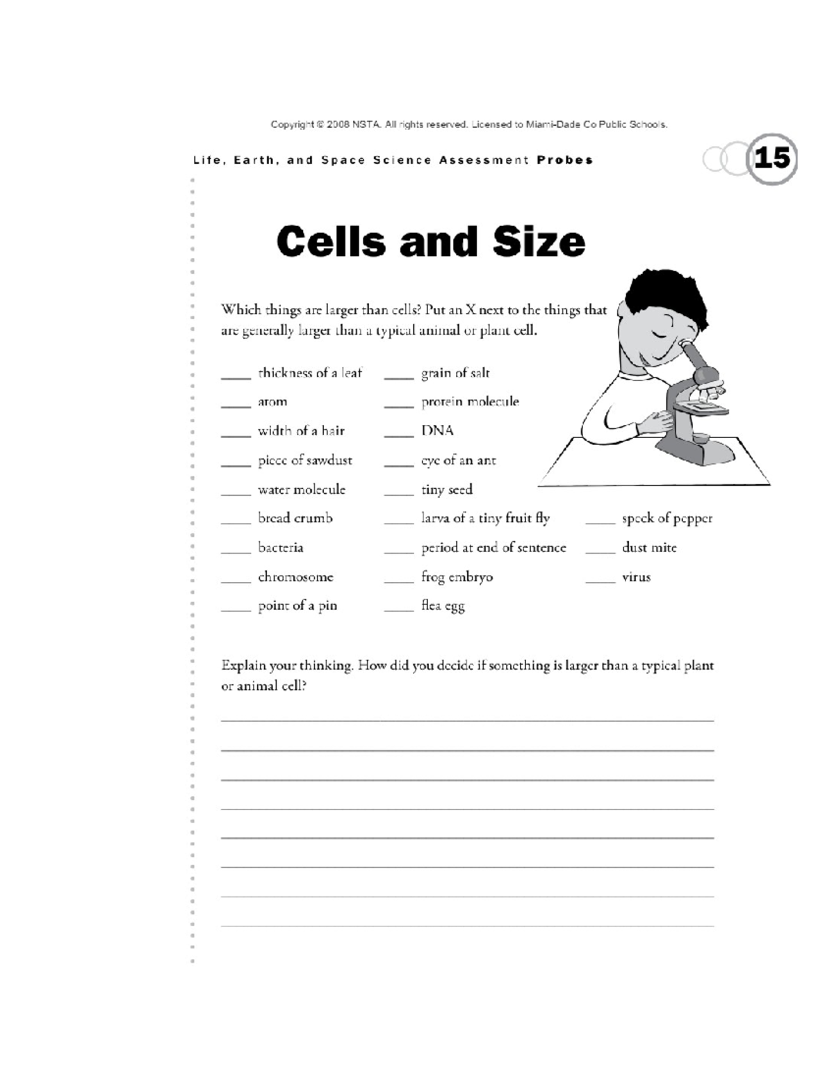 Assessment Probe Cells and Size - Studocu
