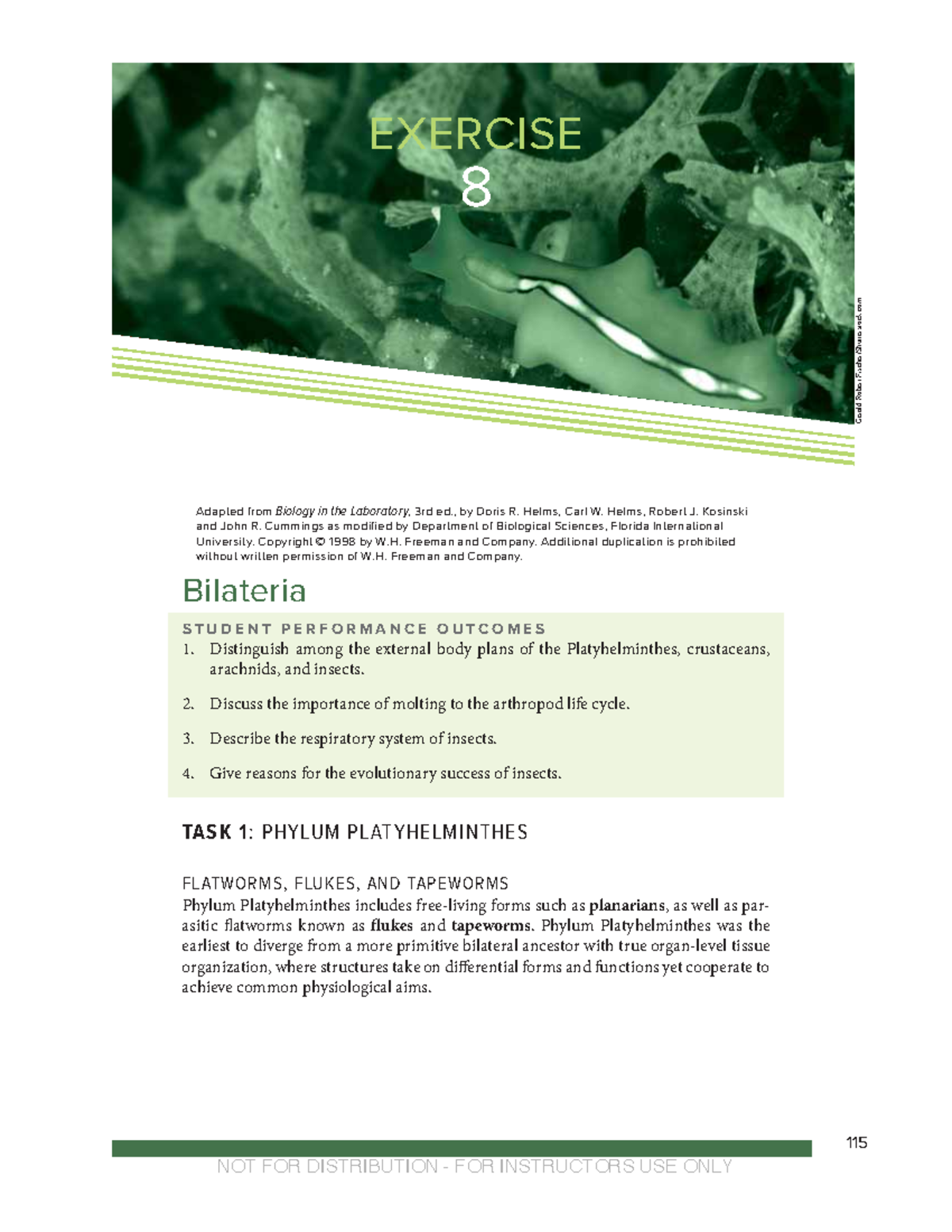 Bilateria - lab - 115 Gerald Robert Fischer/Shutterstock EXERCISE 8 ...