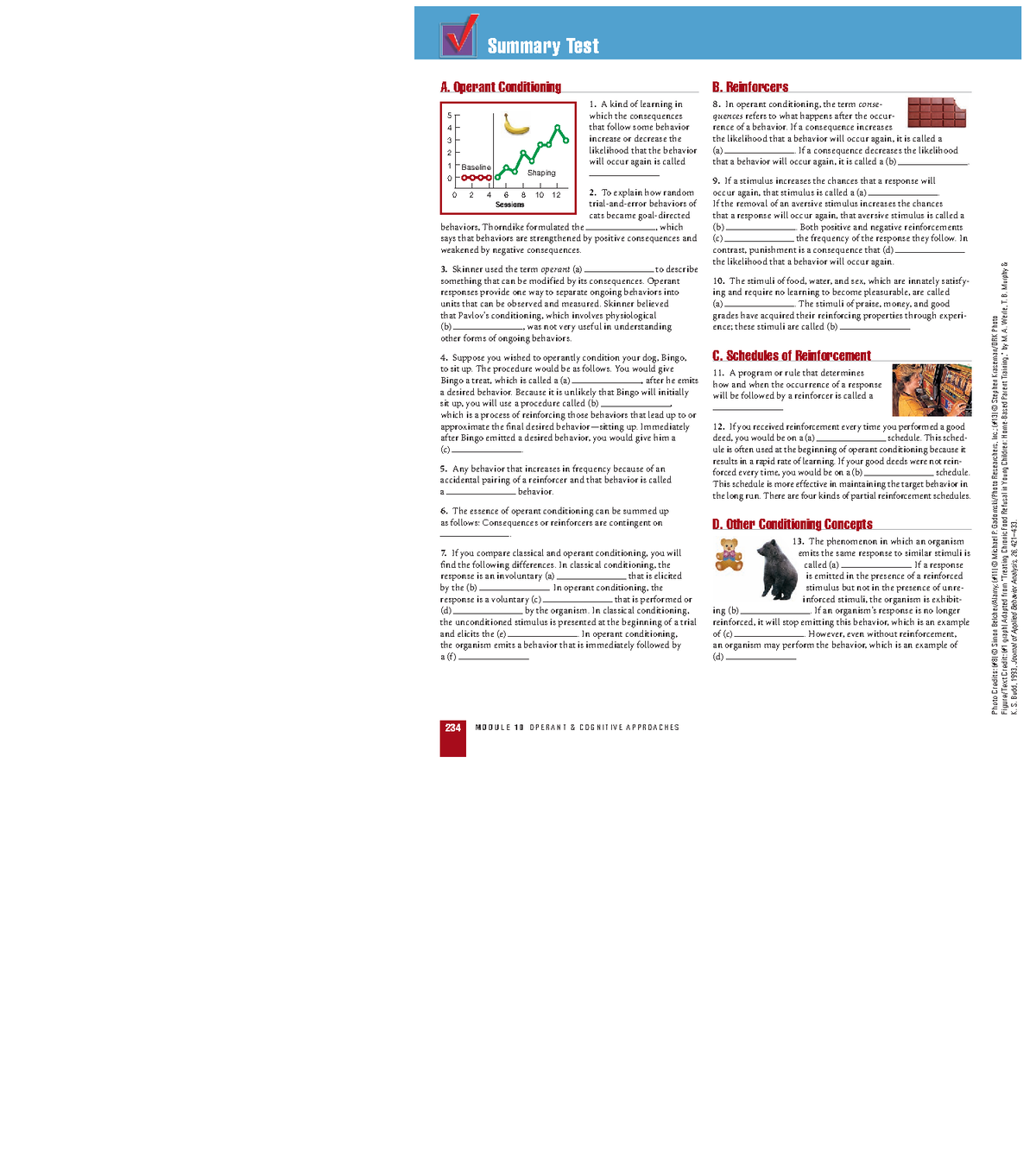 10 - svdv - Summary Test 234 M O D U L E 1 0 O P E R A N T & C O G N I ...