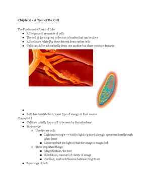 Enzyme Lab Report - FACTORS AFFECTING AMYLASE ENZYME ACTIVITY (ENZYME ...