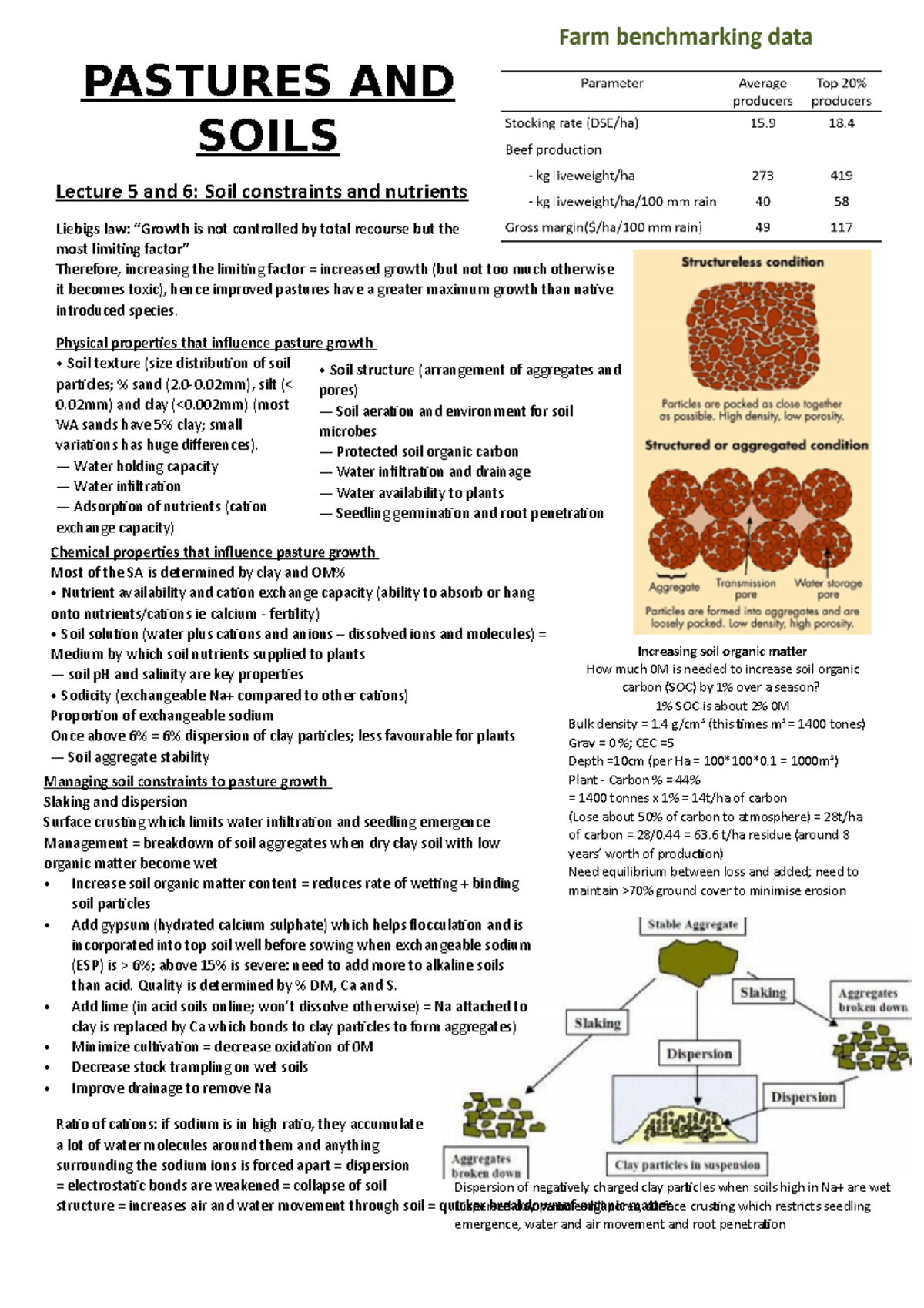 Pastures AND Soils - lectures 5 and 6 - PASTURES AND SOILS Lecture 5 ...
