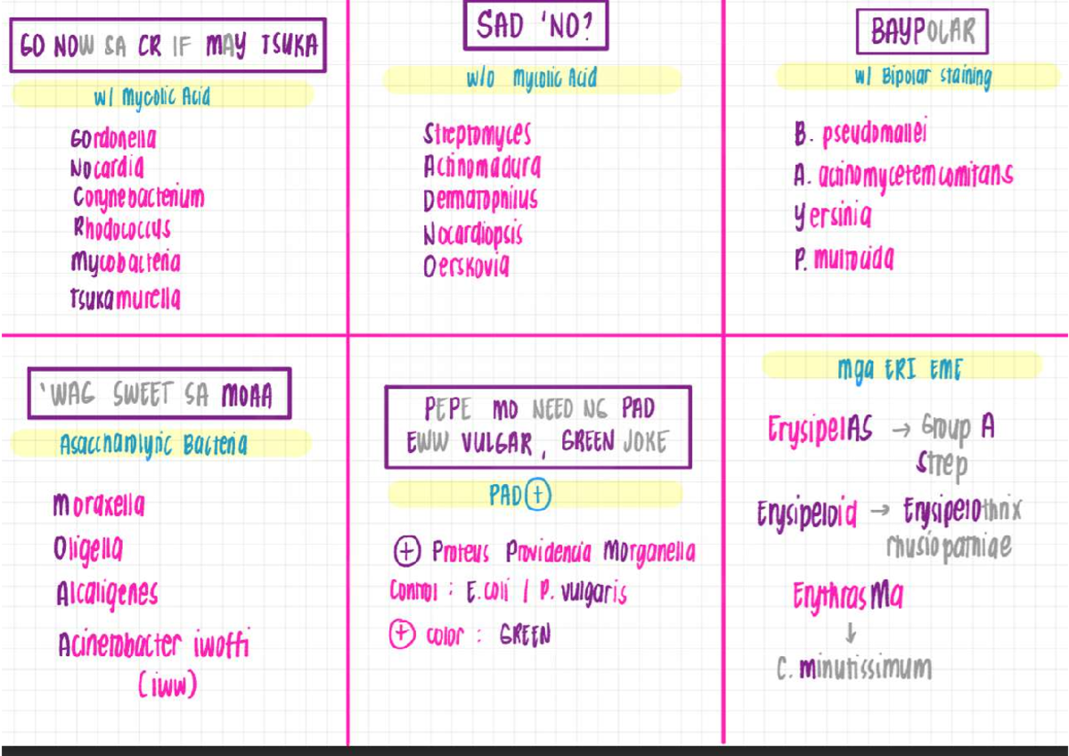 Mnemonics onleeee - BS in Medical laboratory Science - Studocu