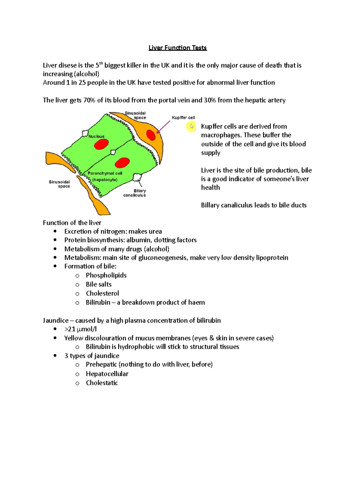 Liver Function Tests - Lecture notes 3 - Liver Function Tests Liver ...