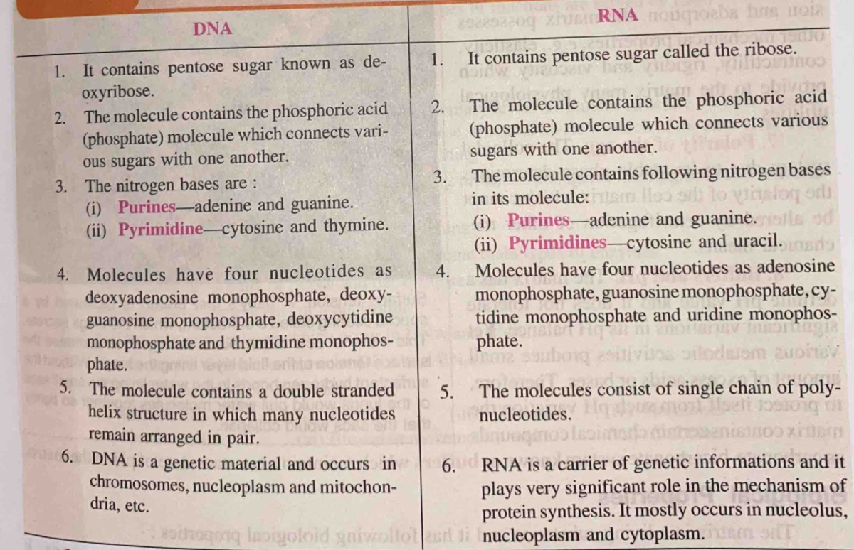 Comparison Of DNA and RNA - Bsc Nursing - Studocu