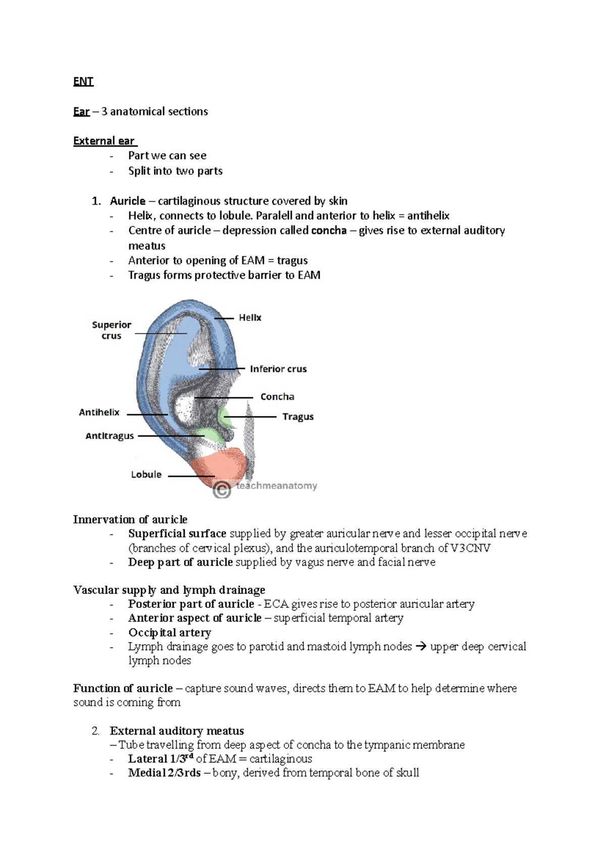 ENT core conditions - ENT Ear – 3 anatomical sections External ear ...