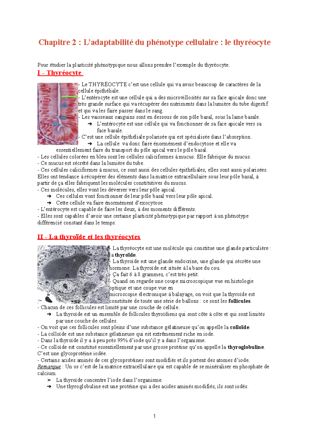 Chapitre 2 L’adaptabilité du phénotype cellulaire le thyréocyte - I ...