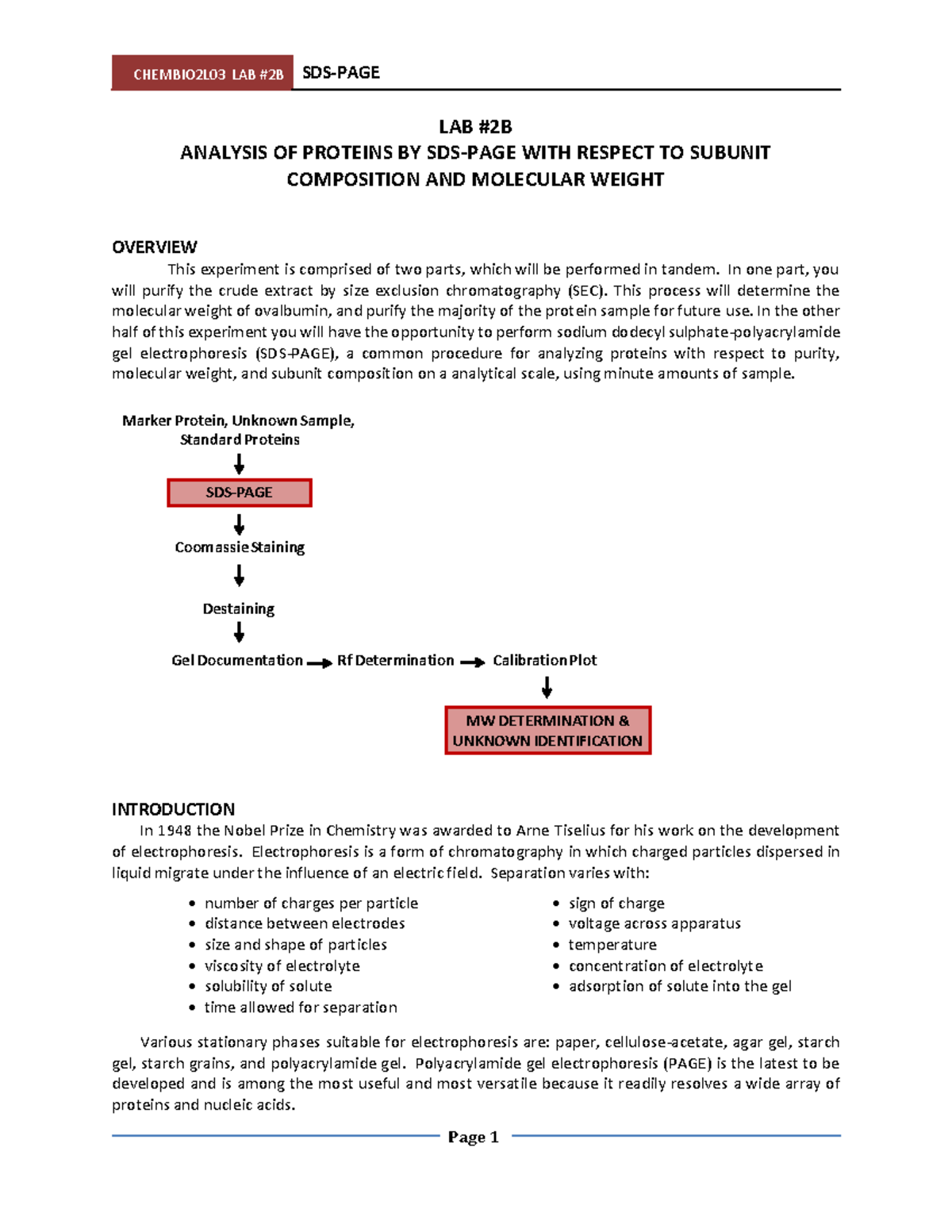 Chemical Biology 2L03 Lab #2B SDS-PAGE - LAB #2B ANALYSIS OF PROTEINS ...