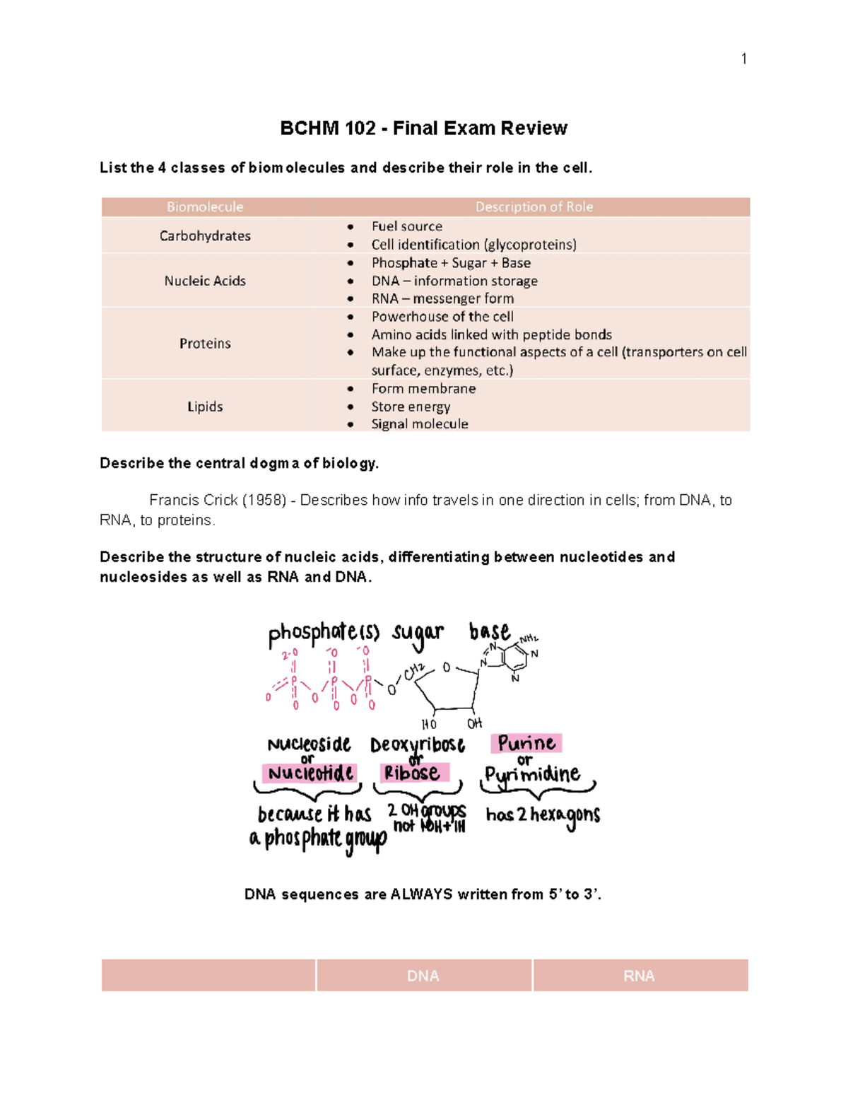 BCHM 102 - Final Exam Review - BCHM 102 - Final Exam Review List the 4 ...